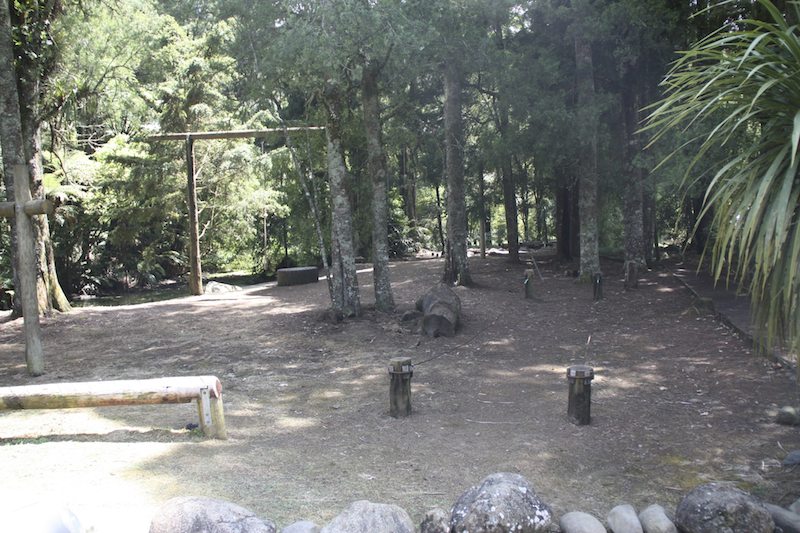 Gallery | Dickey Flat Adventure Camp